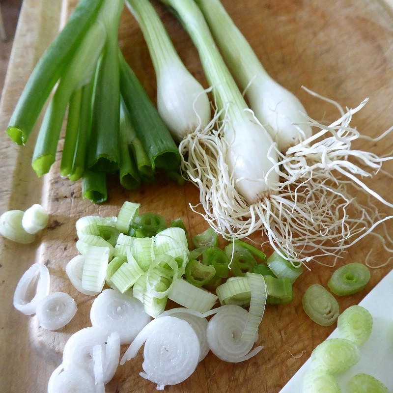 Oignon Blanc de Lisbonne – Graines biologique | graines-semence.com