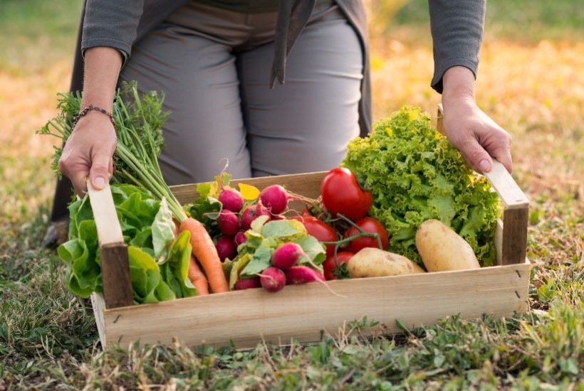 Les légumes faciles à cultiver quand on commence un potager