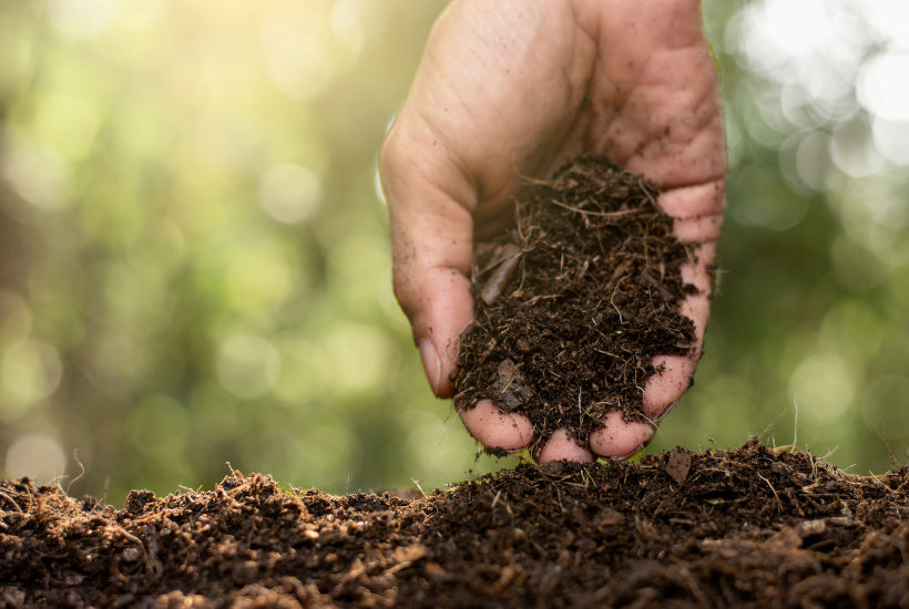 Tamiser le terreau avant de semer