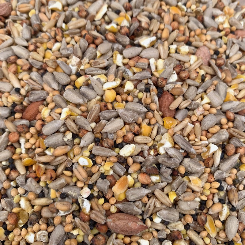 Graines décortiquées (pelées) mélange pour oiseaux du jardin 4 kg