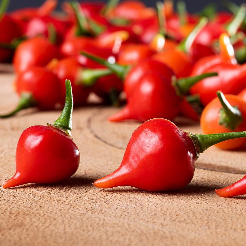Graines de Piment Biquinho ou Petit Bec jaune ou rouge