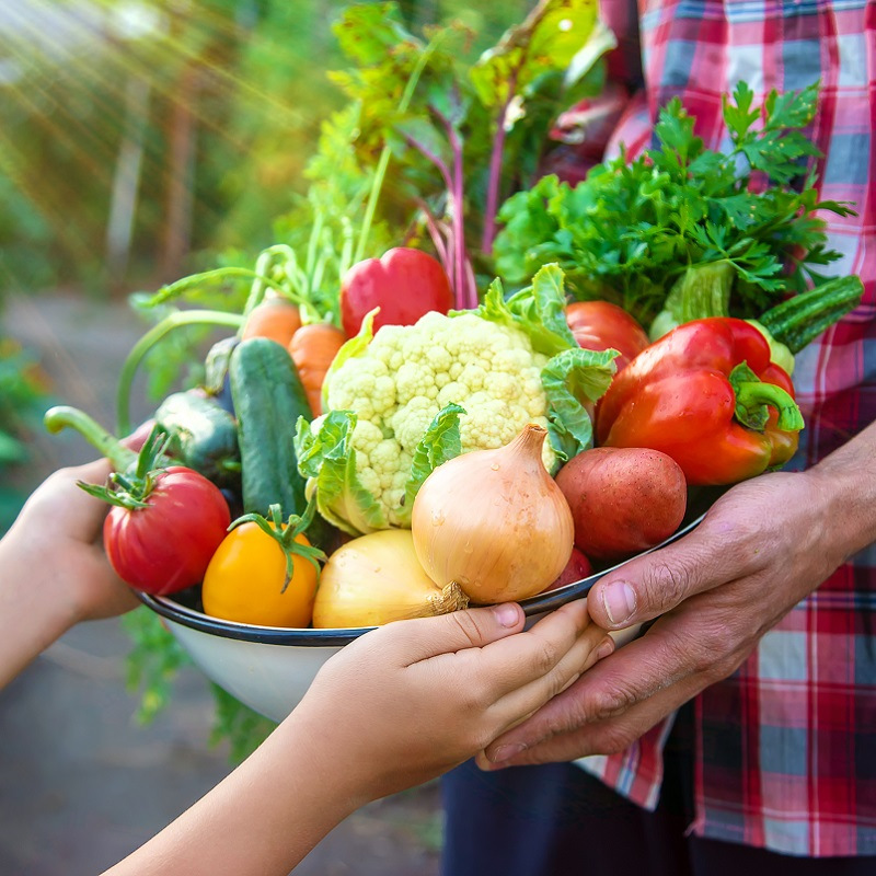 Box de 25 variétés de graines potagères et aromatiques et d'accéssoires