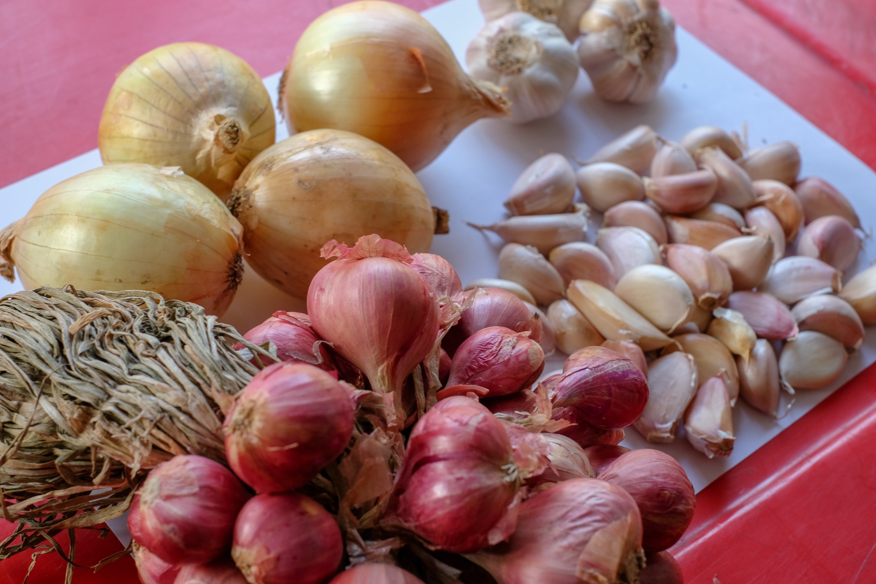 Bulbes potagers à repiquer – Ail, Oignons, Échalotes | Graines-Semences